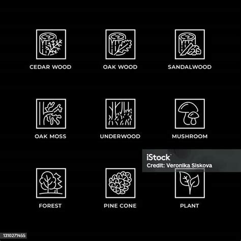 포리스트에 대한 디자인 요소 아이콘 및 배지의 벡터 집합입니다 목재 재료에 대한 스톡 벡터 아트 및 기타 이미지 목재 재료 아이콘 편집 가능한 스트로크 Istock