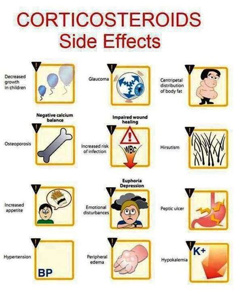 Steroids Drug Effects
