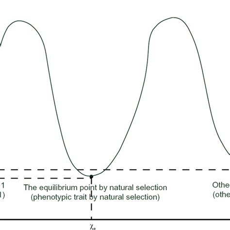 The Equilibrium Points Of A Nonlinear Biological Network In A