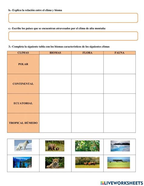 Hoja De Trabajo De Actividades Sobre Biomas Colegio Los Rosales
