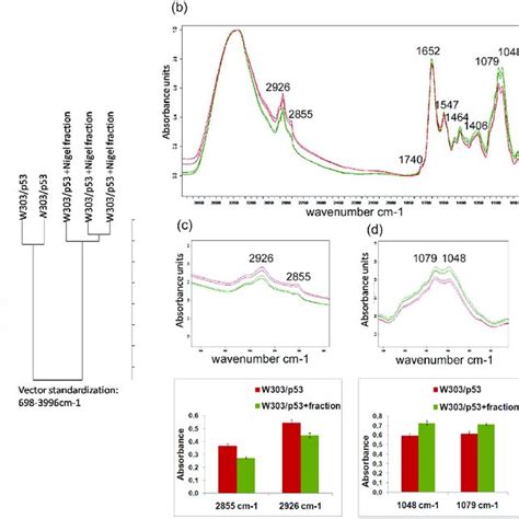 Ftir Spectroscopy Analysis Of The Whole Recombinant Yeast Clones Download Scientific Diagram