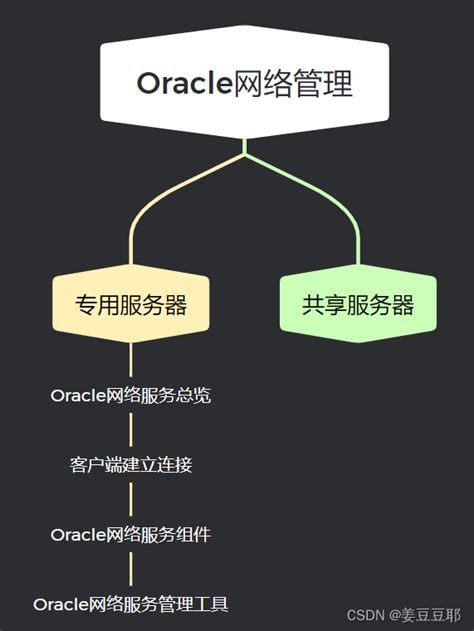 Oracle体系结构：网络管理oracle 管理面网络 Csdn博客