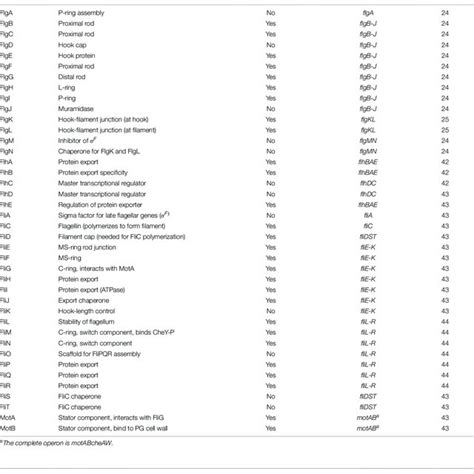 A Electron Micrograph Of An Isolated Flagellum The Vast Majority