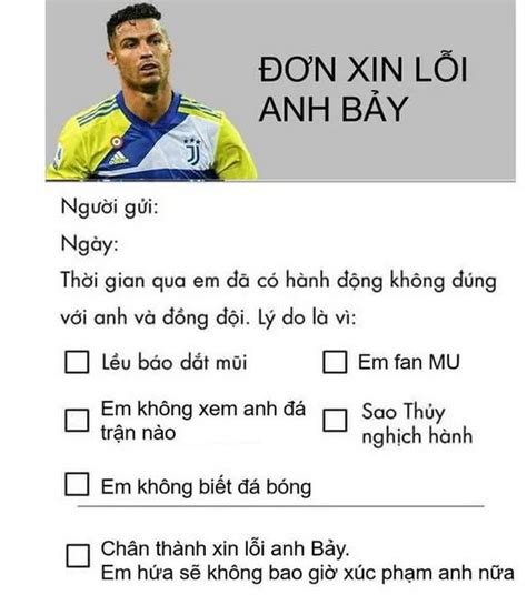 Meme Xin Lỗi Người Yêu Meme Mèo Xin Lỗi Được Chưa Siêu Cute