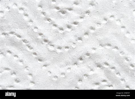 abstract close up of white textured patterned surface with circular