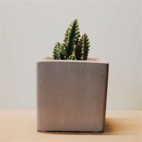 Product 08 Jasper Lo Limited