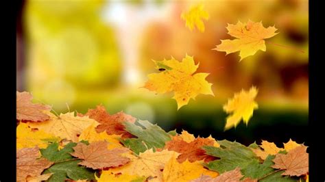 Николай Некрасов Славная осень Youtube