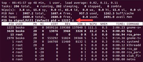 How To Kill A Process In Linux Gravitydevops