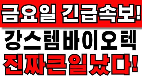 강스템바이오텍 주가전망 주주님들 필수시청 앞으로 이렇게 대응하세요 Youtube