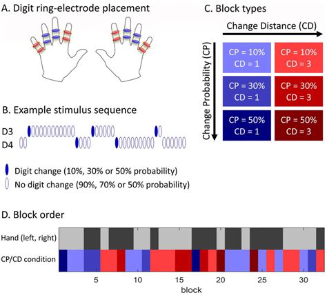 Experimental Task And Design Tactile Spatial Oddball Task Tsot