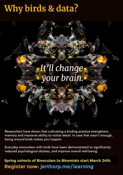 Birds Data And Creative Coding Im Excited To Be One Of The Upcoming