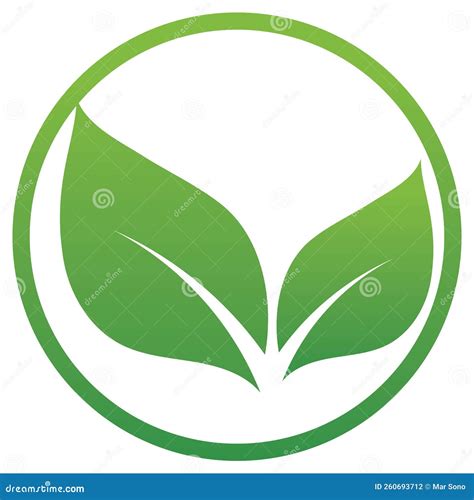 Leaf Green Logo And Symbol Vector Stock Vector Illustration Of Icon