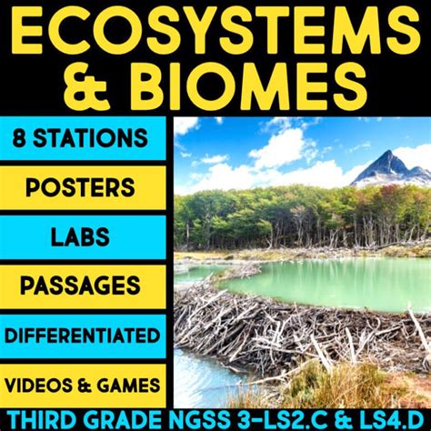 Six Teaching Ideas For Changes In Ecosystems Human Impact