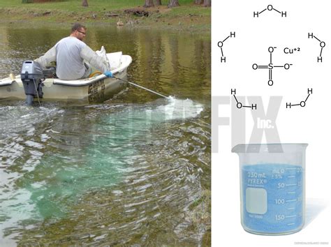 Discussing Reasons To Reduce Copper Sulfate Use Naturalake Biosciences