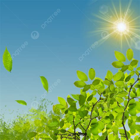 일본 만화 봄 녹색 나무 배경 구름 햇빛 봄에 푸른 나무 배경 일러스트 및 사진 무료 다운로드 Pngtree