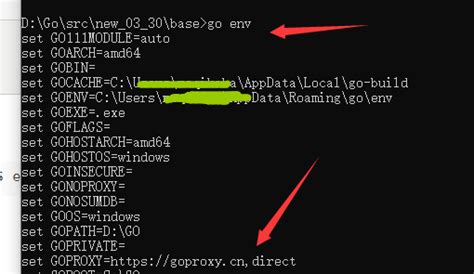 Go Env W Goproxy遇到的问题 Helloocean 博客园