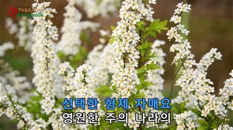우리가 걷는 이 길 복음성가 C코드 가사 악보 엘프 영상 Youtube