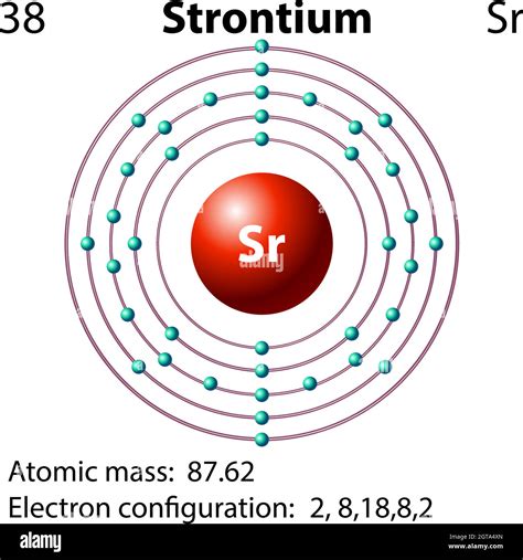 Symbol And Electron Diagram For Strontium Stock Vector Image And Art Alamy
