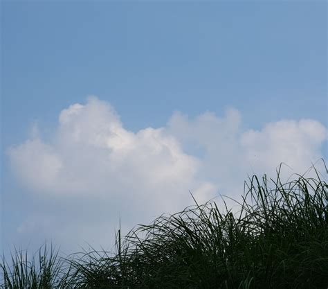 云间 神谕 富士胶片影赛 Fujifilm