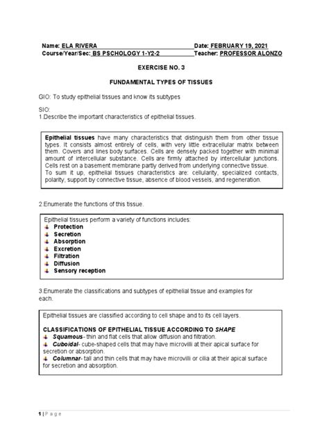 Rivera Week 4 Lab Exercise Fundamental Types Of Tissues And Integumentary System Pdf