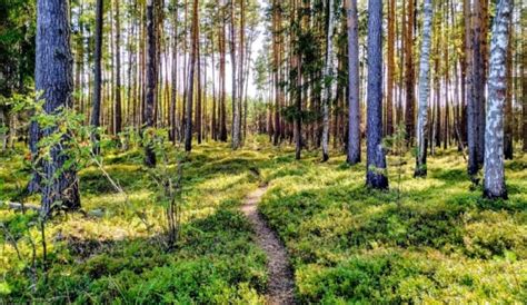 How To Examine Enabling Behaviors That Dont Help The Good Men Project