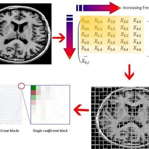 Figure Embedding And Extracting Watermark In Digital Watermarking Download Scientific