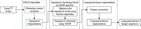 Diagram Of The Lung Parenchyma Image Sequences Segmentation Download