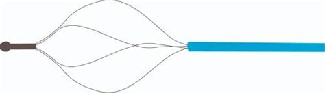 Stainless Steel Ercp Pancreatic Basket At Rs 1800 Piece In Chennai Id 2853744621991