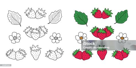 색칠 공부를 위한 딸기와 꽃 디자인 세트 귀여운 딸기 세트 개체 그룹에 대한 스톡 벡터 아트 및 기타 이미지 개체 그룹 과일 귀여운 Istock