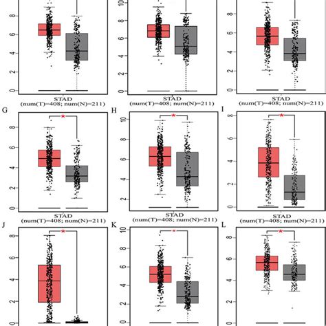 Expression Landscape Of 14 Hub Genes Across Tcga Normal And Gtex Data Download Scientific