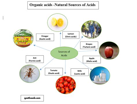 Ncert Solution Science Class 7 Acids Bases And Salts