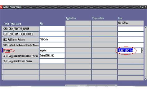 Set Default Printer And Report Copies For An User In Oracle