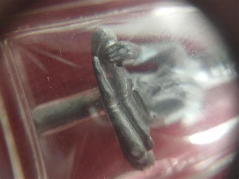 พระยอดธง หลวงพ่อคูณ ปริสุทโธ รุ่น 80 ปี เนื้อนวกับตะกั่วเถื่อน Ennxo