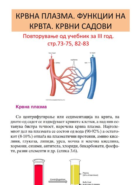 9 Крвна плазма Срце и крвни садови Pdf