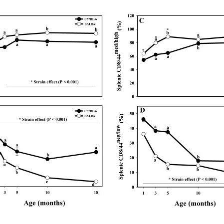 Effects Of Age And Strain On MHCII CD11b CD11c And CD11b CD11c Download Scientific