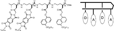 3 Donor Acceptor δ Peptides Synthesized By Li And Co Workers And A