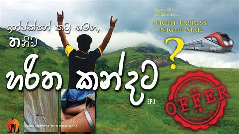 Haritha Kanda Solo Camping With Leeches Youtube