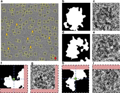 fully automated irregular complex particles picking results using