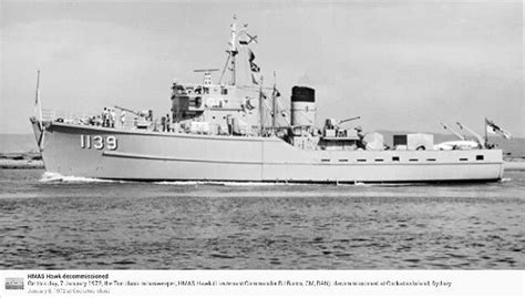 Hmas Hawk Ton Class Minesweeper Royal Navy Ships Royal Australian