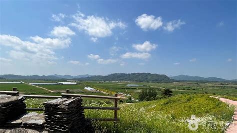 [dmz 평화의 길] 백마고지 코스