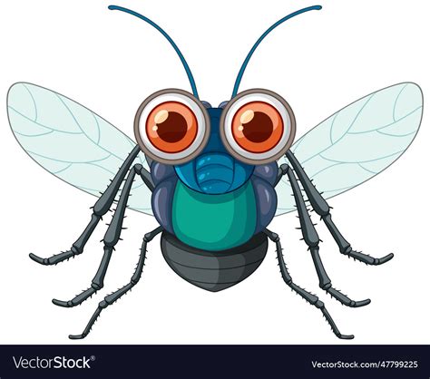 Happy Fly Cartoon Character Royalty Free Vector Image