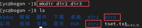 Linux虚拟机目录管理命令 Mkdir命令虚拟机创建目录 Csdn博客 Linux虚拟机目录管理命令 Mkdir命令虚拟机创建目录 Csdn博客