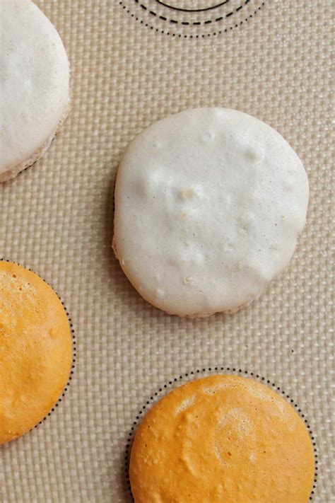 Macaron Troubleshooting Complete Guide Homebody Eats