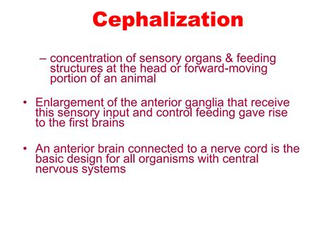 Evolution Of The Nervous System Pptx Brain And Nervous System Disorders Diseases And