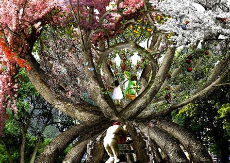 Beautifully Bent Cherry Tree Project