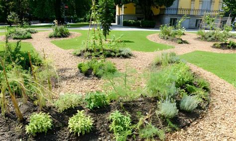 Lawn Ideas Without Grass Wakeful Home