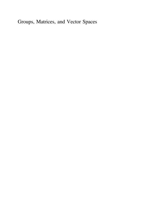 solution groups matrices and vector spaces a group theoretic approach