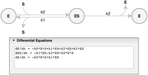 E Stands For Free Active Enzyme S For Enzyme Precursor And Es Is The Download Scientific