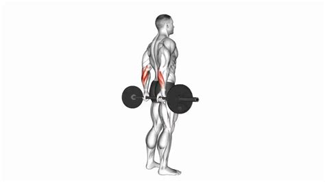 Behind The Back Wrist Curl Price Online