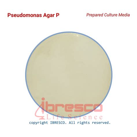 Pseudomonas Agar P Ibresco